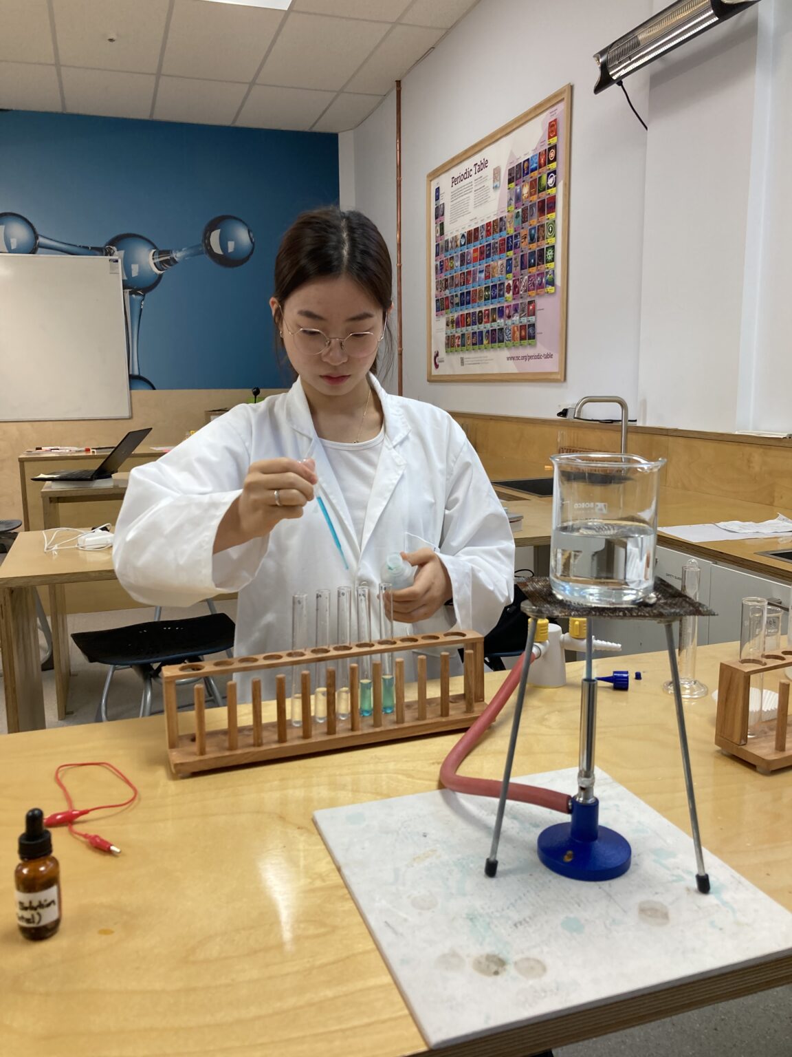 Cambridge Curriculum - Wentworth Computer Science College